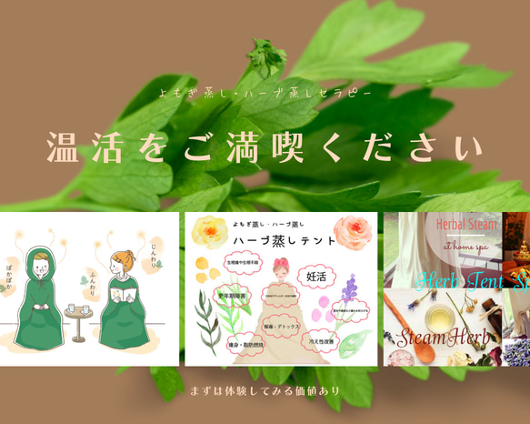 よもぎ蒸しハーブセラピー専用ハーブテント(2重)一式 & 専用マント《全6点/2色》【サロン開業講座/ディプロマ発行付☆ その他インテリア雑貨 ...