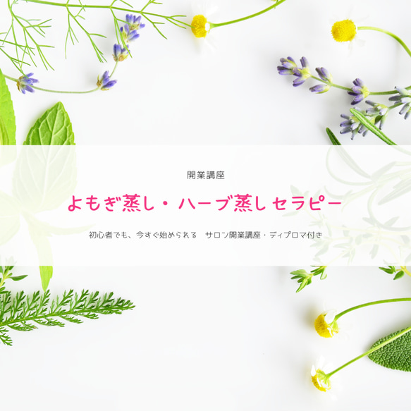 よもぎ蒸しハーブセラピー専用ハーブテント(2重)一式 & 専用マント《全6点/2色》【サロン開業講座/ディプロマ発行付☆ その他インテリア雑貨 ...