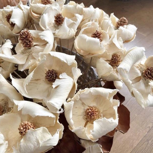パームフラワー(単品) ホワイト ドライフラワー howdy flower パームフラワー(単品) ホワイト ドライフラワー howdy flower