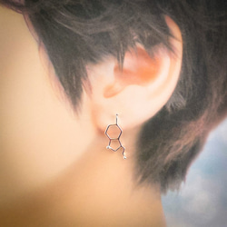 化学構造式記号のおもしろピアス [カラバリ2色 gold＆silver] 幸せホルモン・セロトニン ピアス（スタッド・一粒） オモロ雑貨店 ...