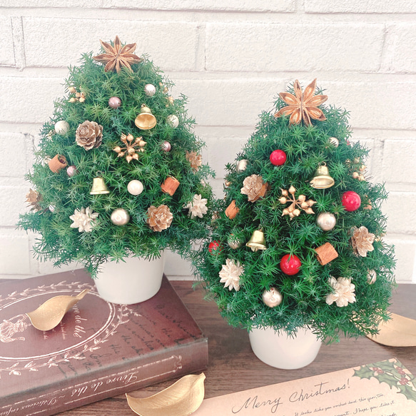 【早割クリスマス2023】約22cm 卓上クリスマスツリー＊プリザーブドグリーン プリザーブドフラワー fleurir 通販 12686894 ...