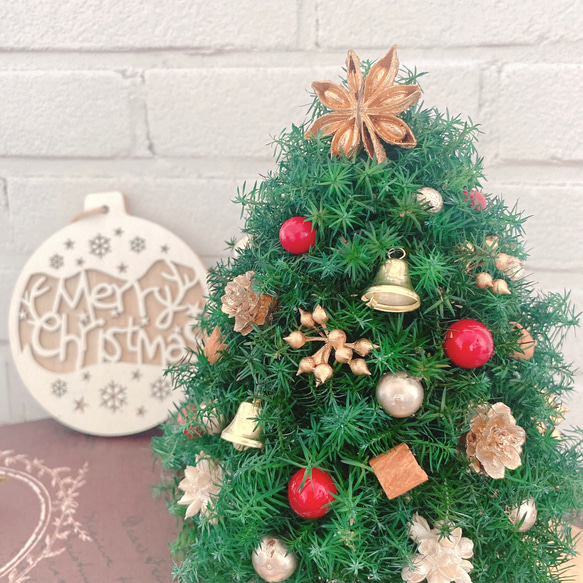 【早割クリスマス2023】約22cm 卓上クリスマスツリー＊プリザーブドグリーン プリザーブドフラワー fleurir 通販 12686894 ...