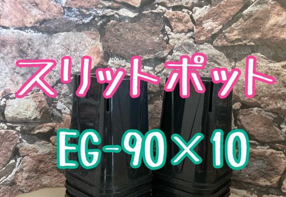 10個 ロング スリットポット EG-90L slitpot プラ鉢 多肉植物 サボテン アガベ ハオルチア 多肉植物 plants_bomb ...