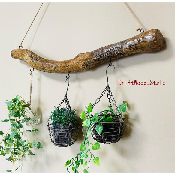 流木インテリア 曲線を描く無骨で太いハンガーフック 流木ハンガー ハンギング ウォールデコ 壁掛け 北欧 No.53 その他インテリア雑貨 ...