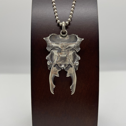 ルディカツヤクワガタ(ペンダントトップ)シルバーアクセサリー ルディカツヤクワガタ(ペンダントトップ)シルバーアクセサリー