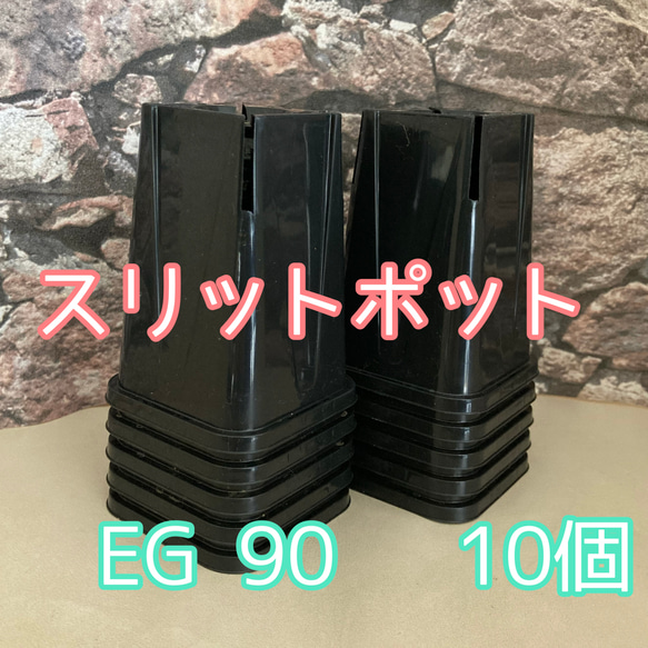 10個 ロング スリットポット EG-90L slitpot プラ鉢 多肉植物 サボテン アガベ ハオルチア 多肉植物 plants_bomb ...