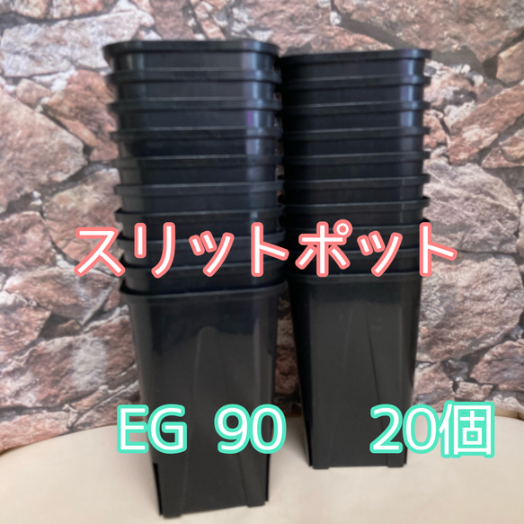 20個 ロング スリットポット EG-90L slitpot プラ鉢 多肉植物 サボテン アガベ ハオルチア 多肉植物 plants_bomb ...