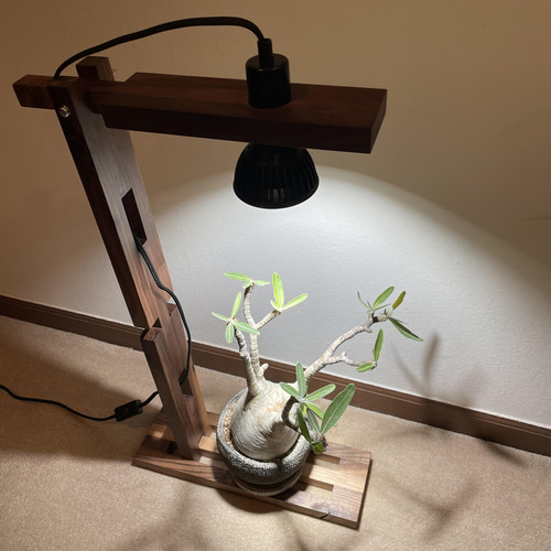 新作!植物育成スポットライト(アマテラス10W LED付) 多肉植物 新作!植物育成スポットライト(アマテラス10W LED付) 多肉植物