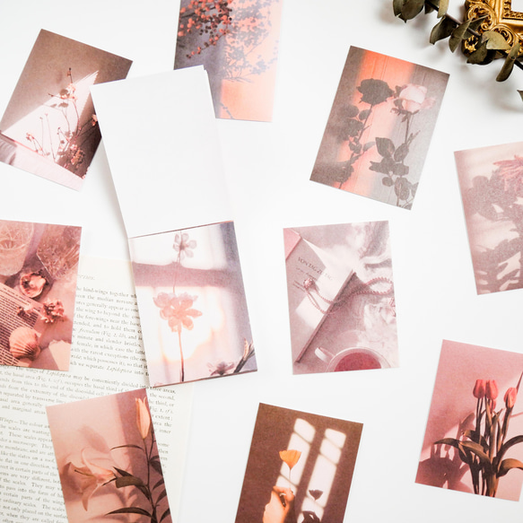 コラージュ素材 シールブック timeless beauty [AZ811] シール・ステッカー nunumoon 通販 13211556 ...