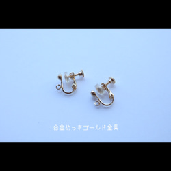 クラシカルモチーフ ピアス/イヤリング【ロジウム】classical motif pierce/earring ピアス（フック・チェーン ...