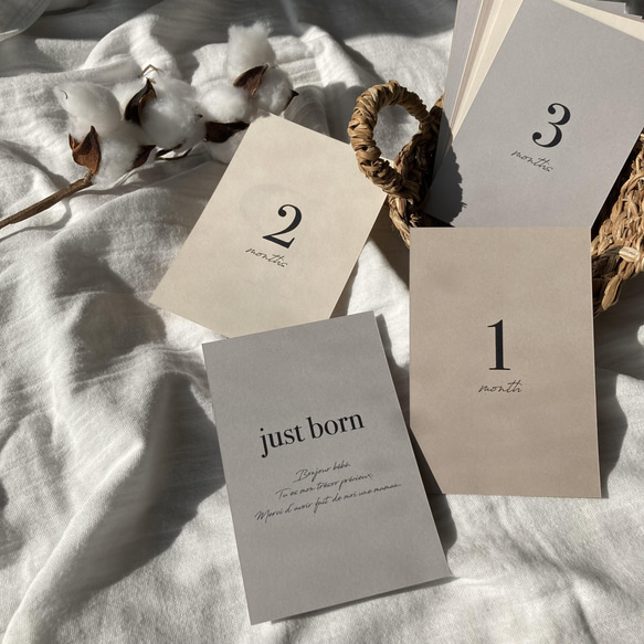 マンスリーカード くすみカラー シンプル B 雑貨・その他 K_enicoS 通販 13332075｜Creema(クリーマ)