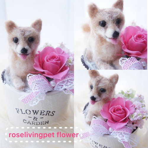 羊毛フェルトのペットフラワー 全犬種(ドール1個 花1輪) 羊毛 羊毛フェルトのペットフラワー 全犬種(ドール1個 花1輪) 羊毛
