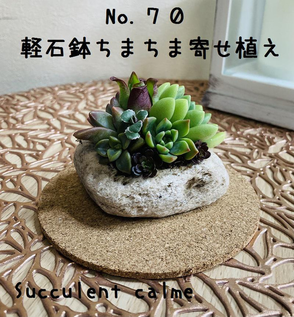No.70★軽石鉢ちまちま多肉寄せ植え☆3月27日までの出品です 多肉植物 Succulent calme 通販｜Creema(クリーマ)