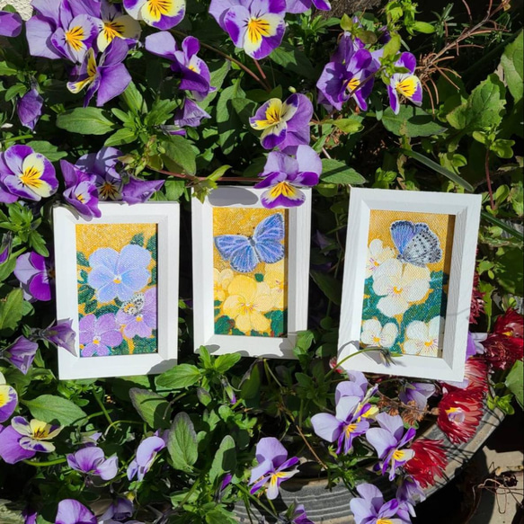 ミニアート 蝶々とビオラ(シジミチョウ) 「クリーマ春の福袋」 絵画 チューリップ 通販 13511134｜Creema(クリーマ)