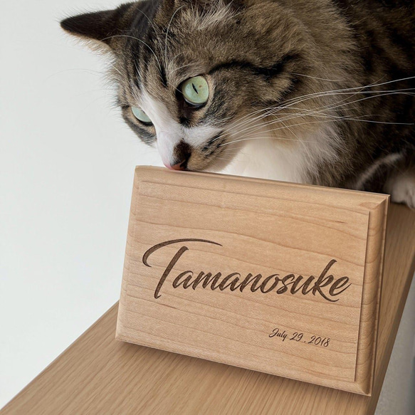 無垢の木_うちの子 犬 猫 ネームボード 表札・ネームプレート HalMira 通販 13515317｜Creema(クリーマ)