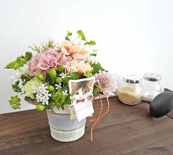 【生花】ネコが覗く母の日アレンジメント 5匹の猫たち【予約販売】 ドライフラワー 花番 HANATUGAI-KABAN 通販 13518087 ...