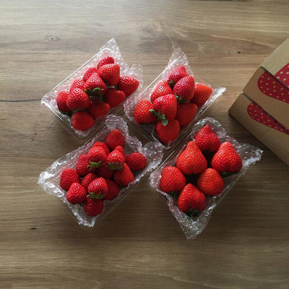 完熟いちご 200g少量パック×4 果物（フルーツ） straw 通販 13519225｜Creema(クリーマ)