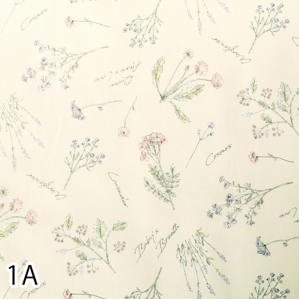 新入荷！『オックスプリント生地 ボタニカル柄 1A－クリーム』～50㎝単位でカット～ 生地 Blanc de Roi 通販 13519912 ...