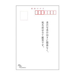 6】選べる5枚！猫のポストカード ポストカード からたち 通販｜Creema(クリーマ)