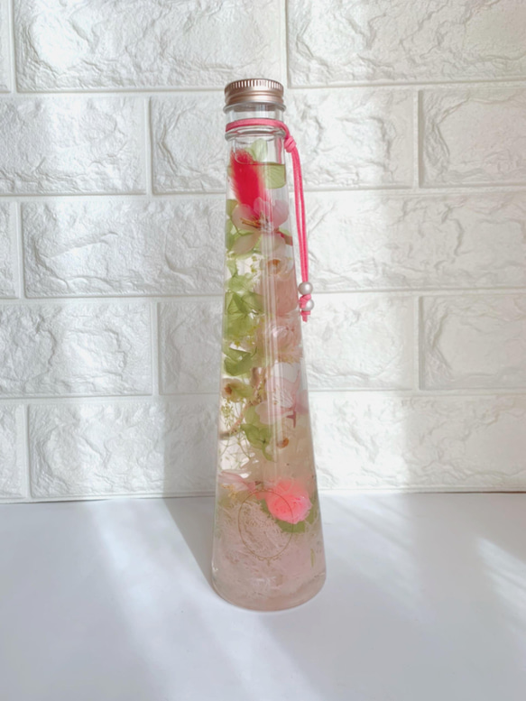 閉店SALE！サクラの大きめハーバリウム ハーバリウム・植物標本 うらら 通販｜Creema(クリーマ)