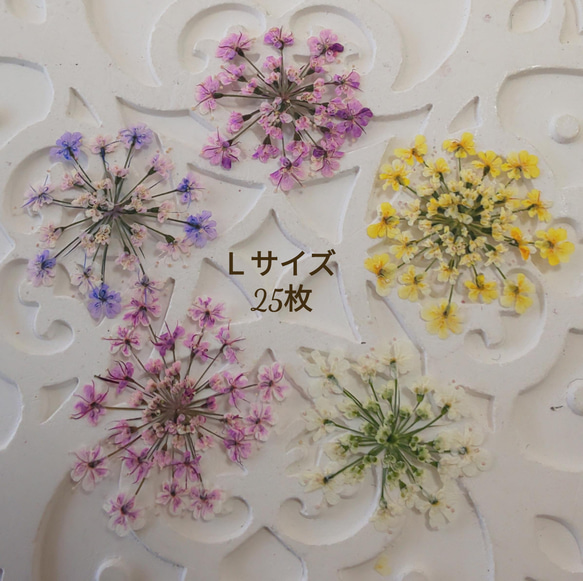Lサイズ25枚♡レースフラワー押し花♡ピンク系パステルアソート その他素材 tu-tu 通販 13536167｜Creema(クリーマ)