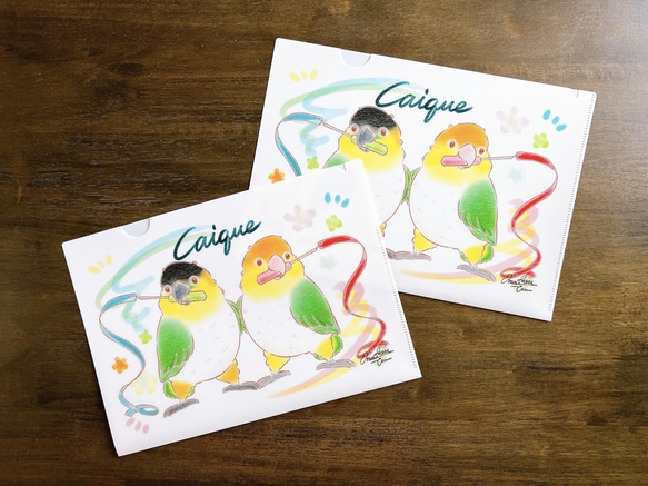 クリアファイル【シロハラ×ズグロシロハラ】 その他雑貨 OmuPasta 通販｜Creema(クリーマ) 13560215