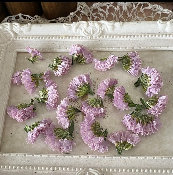 レア色スターチス ️ビンテージグレープ色小分け ️ハンドメイド花材ドライフラワー その他素材 アイル 通販 13579774｜Creema(クリーマ)