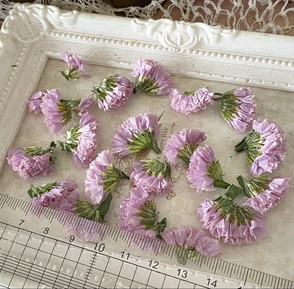 レア色スターチス ️ビンテージグレープ色小分け ️ハンドメイド花材ドライフラワー その他素材 アイル 通販 13579774｜Creema(クリーマ)
