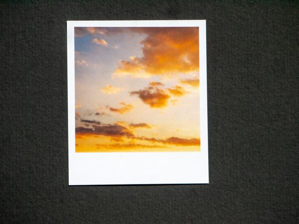 スクエアプリントシール5枚セット② 写真・グラフィック ぼなのさがしもの 通販｜Creema(クリーマ) 13583384