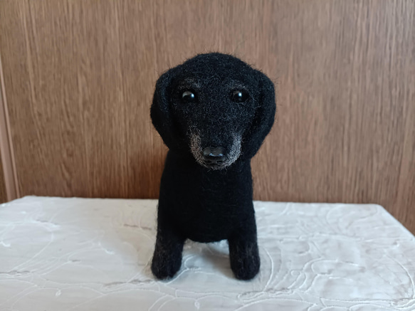 専用ページ 羊毛フェルト masapan 通販 13587156｜Creema(クリーマ)