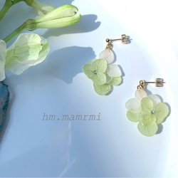 揺れる紫陽花ピアス/3枚/green ピアス（スタッド・一粒） hm.mamrmi 通販｜Creema(クリーマ) 13587325