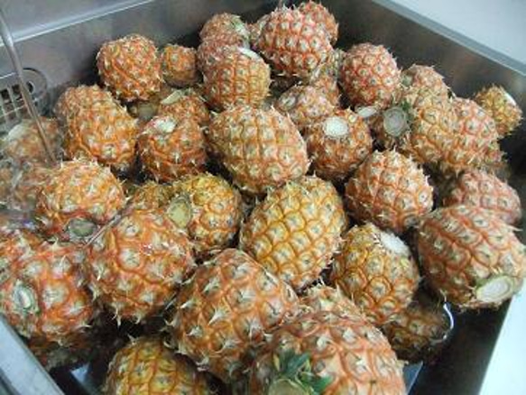 甘くて濃厚でジュースにも！沖縄県産パイナップルのジャム ジャム・シロップ・はちみつ メルカートピッコロ 通販 13589790｜Creema ...