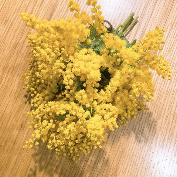 満開ミモザのミニスワッグ スワッグ six flowers 通販｜Creema(クリーマ) 13592115