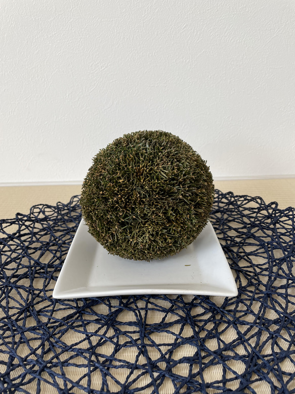 【受注生産】岡山県井原市産 杉玉（竹炭入り） その他インテリア雑貨 小谷杉 通販｜Creema(クリーマ)