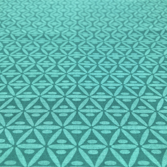 美國棉花 Riley Blake Riley Blake Botanique 布 マーサキルティングスタジオ 的作品｜Creema 13600397