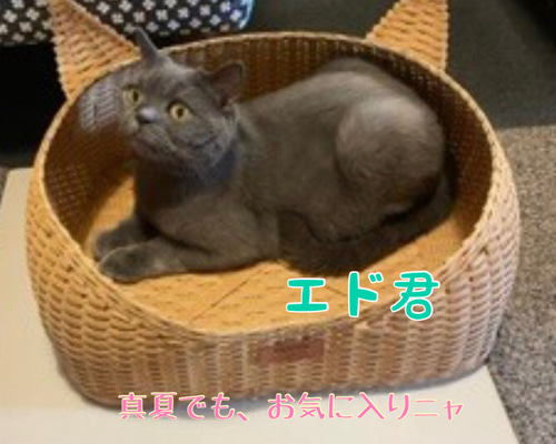 656364ff88aa9e6aee97825a571e8f 656364ff88aa9e6aee97825a571e8f