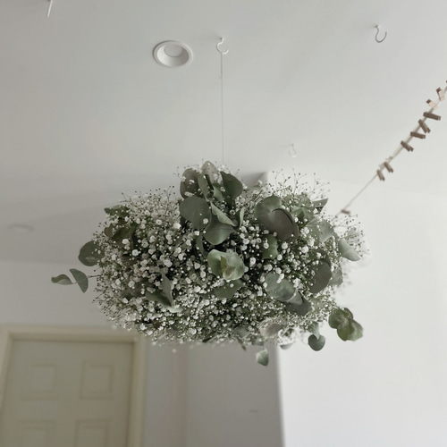 flying wreath ユーカリとかすみ草のフライングリース リース flying wreath ユーカリとかすみ草のフライングリース リース