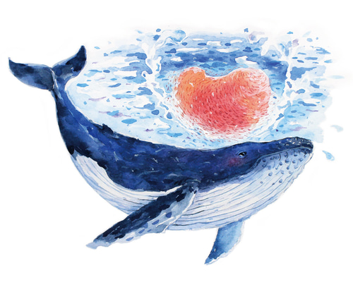 動物とその起源クジラザトウクジライラストポストカード ポスト 動物とその起源クジラザトウクジライラストポストカード ポスト