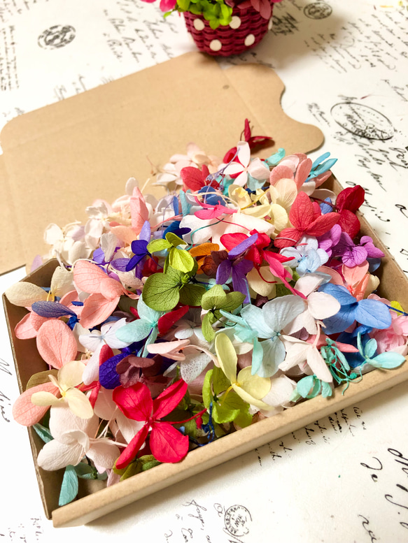 プリザーブドフラワーアジサイ＊訳ありパラパラ花材 その他素材 FlowerCompanies 通販 13831894｜Creema(クリーマ)