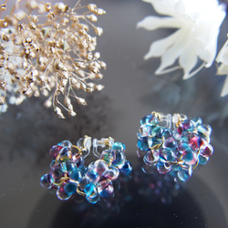 ＊再販＊『Sibérie profonde』涼やかノンホールピアス/ ディープシベリアン / イヤリング / ピアス イヤリング・ノンホール ...