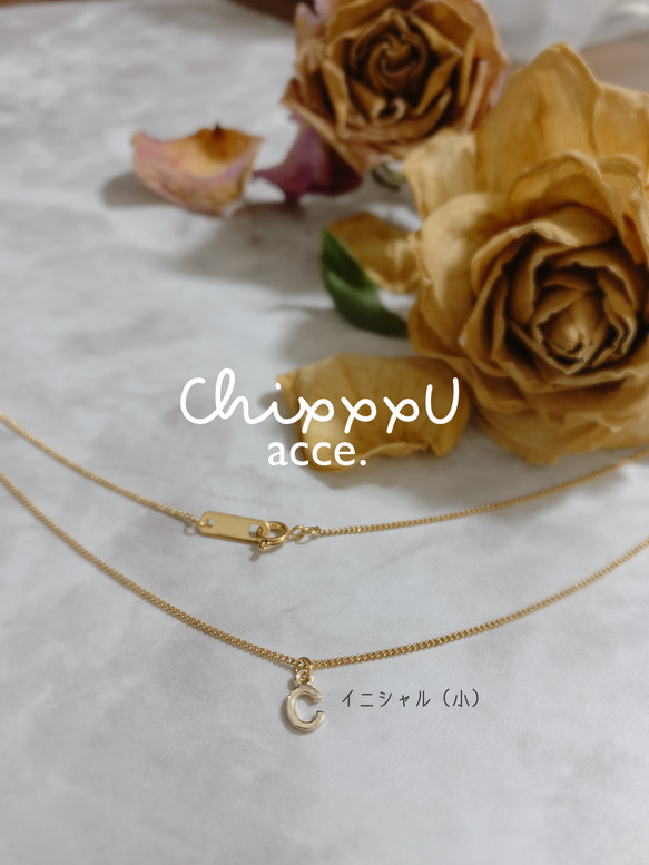 選べるイニシャルネックレス（小） / 金属アレルギー対応チェーン サージカルステンレス イニシャル 華奢チェーン 極細 ネックレス・ペンダント ...