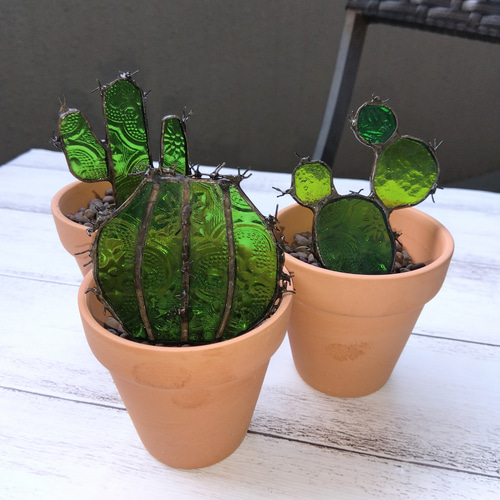 サボテン/ステンドグラス/3個組 多肉植物 norieva 通販 サボテン/ステンドグラス/3個組 多肉植物 norieva 通販