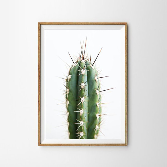 観葉植物 グリーンインテリア ナチュラルサボテン ポスター /カフェ開業祝いに 写真・グラフィック CALIFORNIA PRINT.co ...
