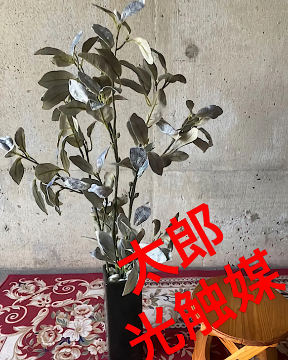 光触媒 人工観葉植物 ウォールグリーン フェイク フラワー ベルベットスプレー その他インテリア雑貨 太郎 通販 14605066 ...