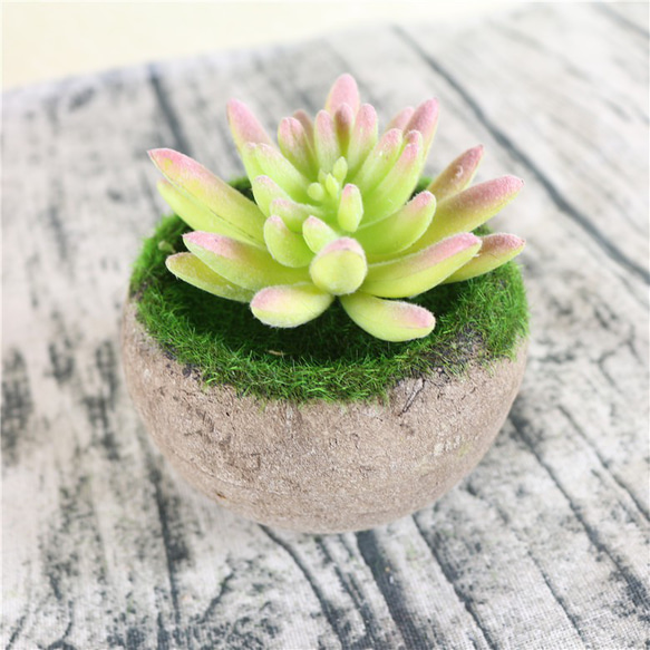 シリコーン樹脂石蓮 その他インテリア雑貨 Kudo Mari 通販 14700906｜Creema(クリーマ)