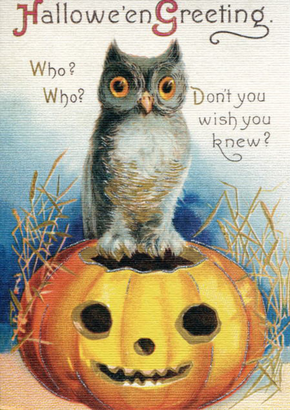 ハロウィンカード Halloween ハロウィンオウル [GC-HALOWL] メッセージカード Greeting*cafe 通販 ...
