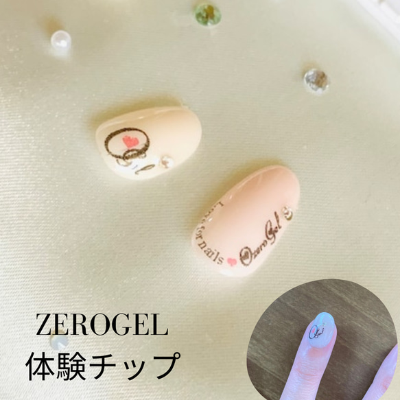 ZEROGEL体験チップ ネイルチップ（つけ爪） nail BLOSSOM 通販 14751434｜Creema(クリーマ)