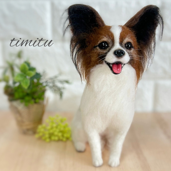 ★こちらはサンプル画像です★羊毛フェルト オーダー うちの子マスコット パピヨン 羊毛フェルト ♡timitu♡ 通販 14758139 ...