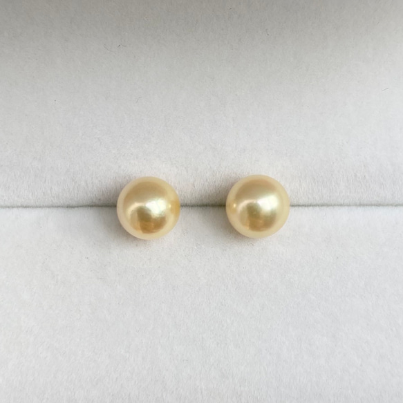 《14kgf》 6.5㎜珠 あこや真珠 ナチュラルゴールド 一粒 ピアス / イヤリング ピアス（スタッド・一粒） Asny 通販 14768641｜Creema(クリーマ)