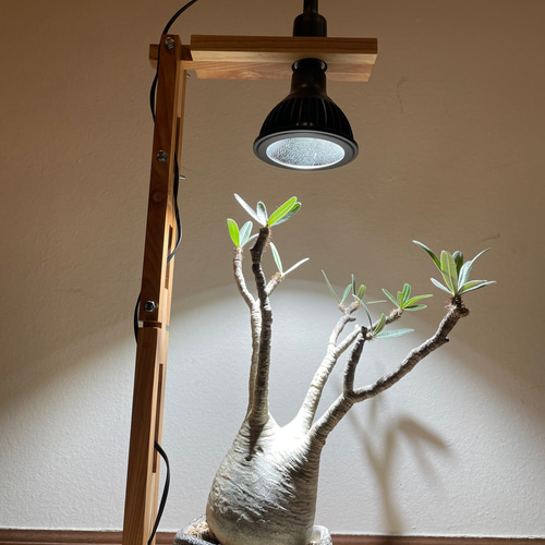 新作!植物育成ライトスタンド(LED別) スタンドライト 新作!植物育成ライトスタンド(LED別) スタンドライト